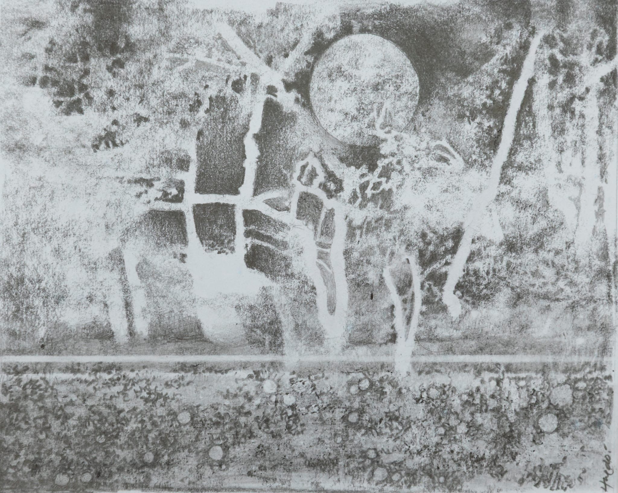 The silent poetry of drawing with Vicenç Huedo at the Valvi Foundation ...