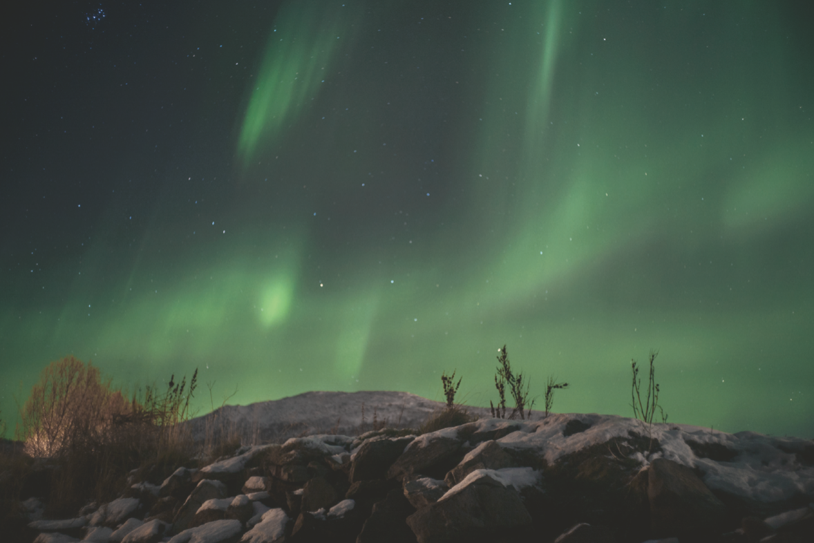 CONFINES: La mirada de Adriana Lestido entre polos y hogares - Bonart